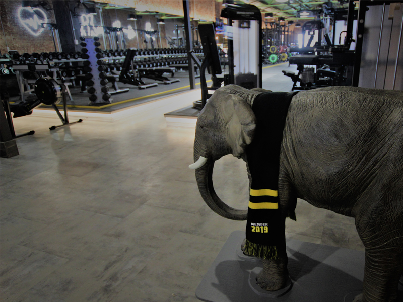 Hammer House 24/7 Gym Brunswick Facilities